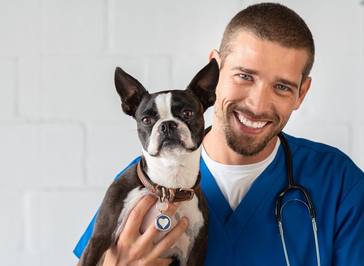 Clinique vétérinaire Paris 8émes - Docteur Dominique Théron ...